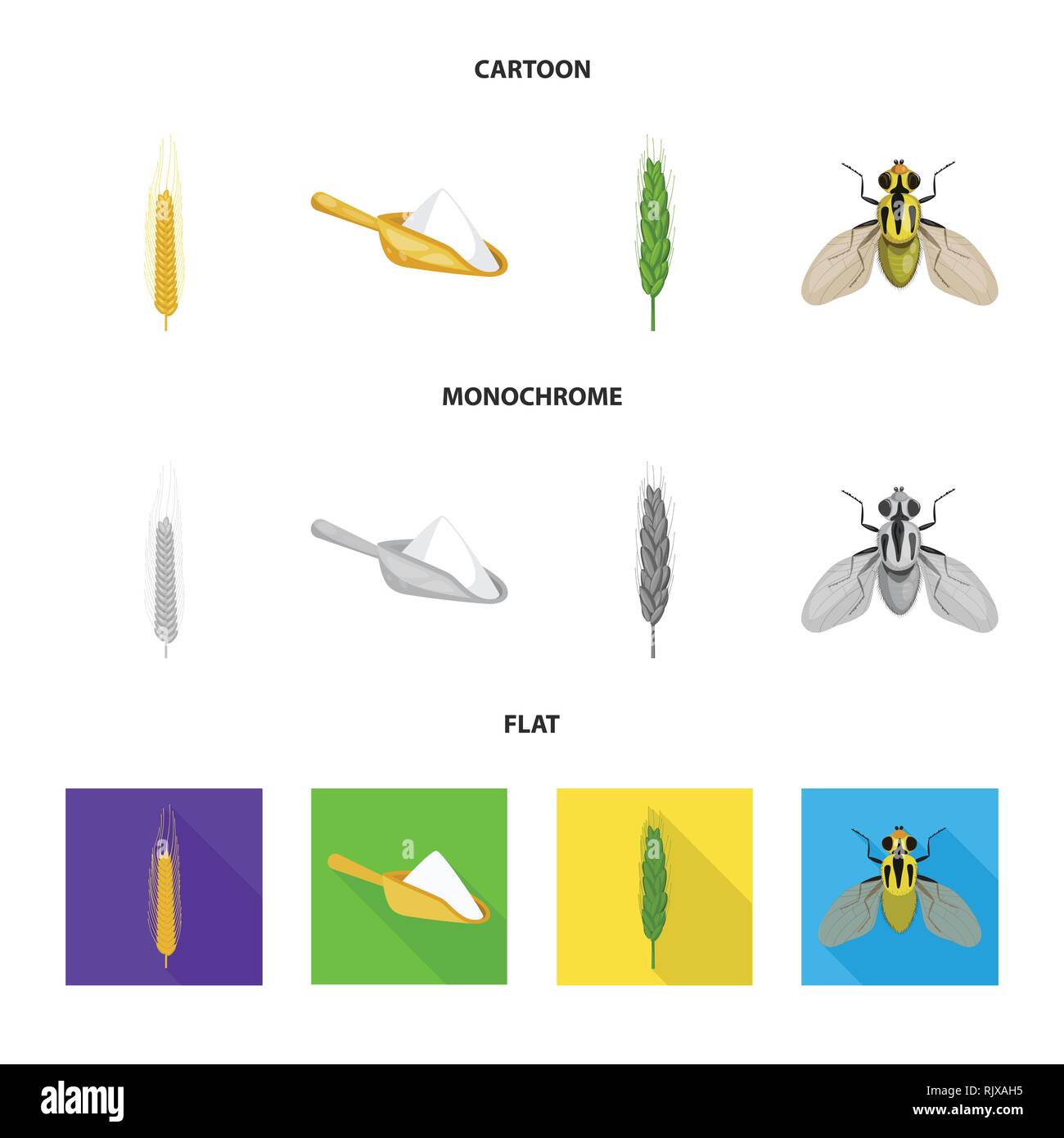 flour,spring,fly,winter,meal,spike,insect,scoop,durum,pest,control,oat ...