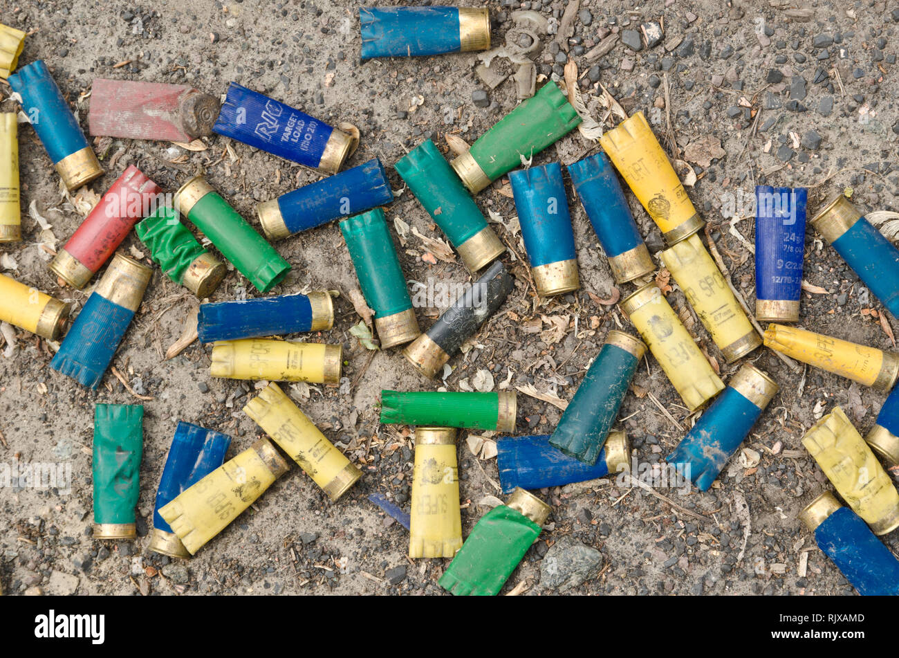 Ground shells hi-res stock photography and images - Alamy