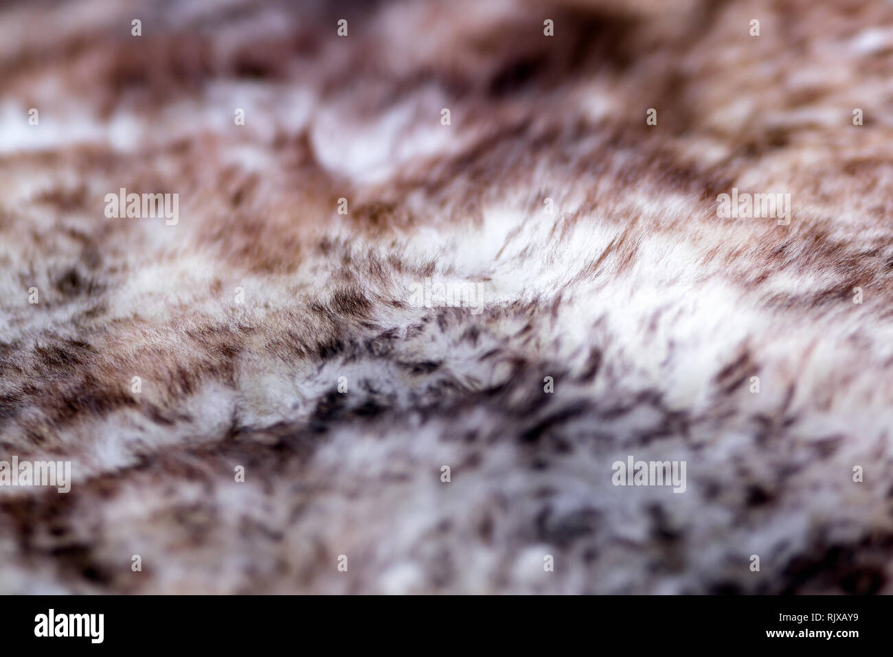 Close up of animal fur. Animal texture background. Fashion industry ...