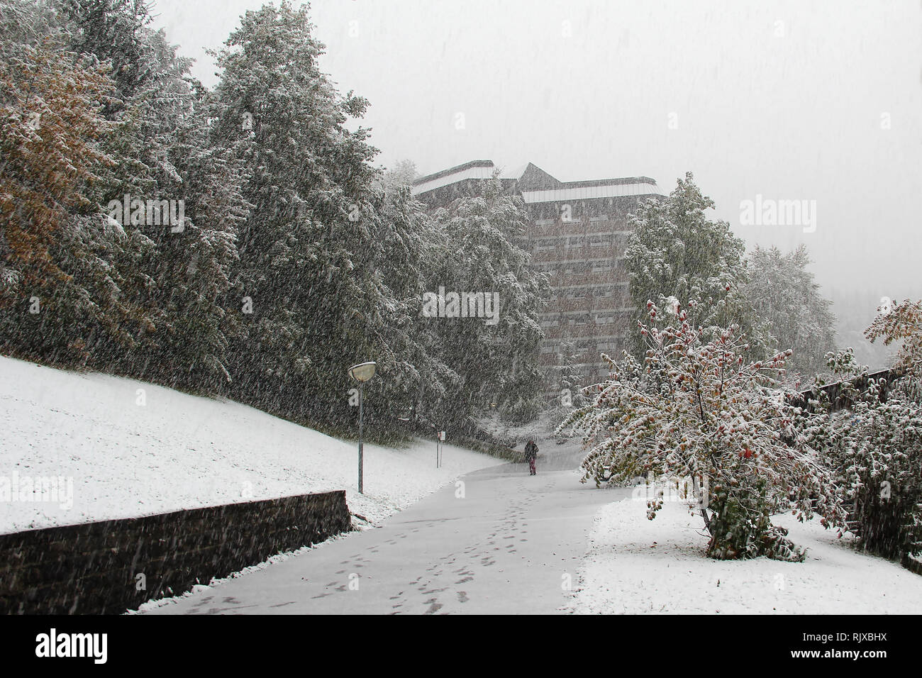 Snowfall / Winter Landscape Stock Photo - Alamy