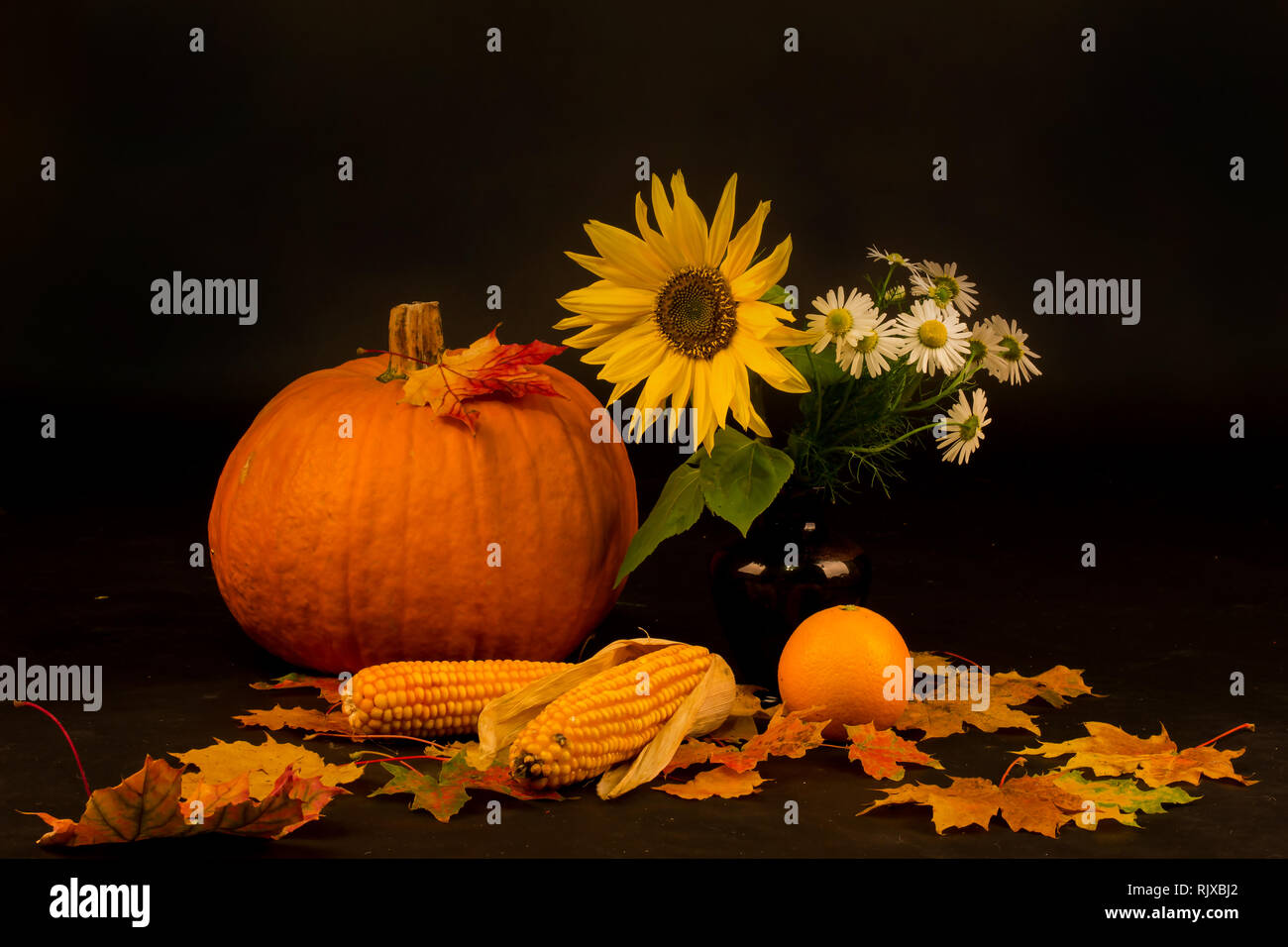 Autumn still life Stock Photo - Alamy