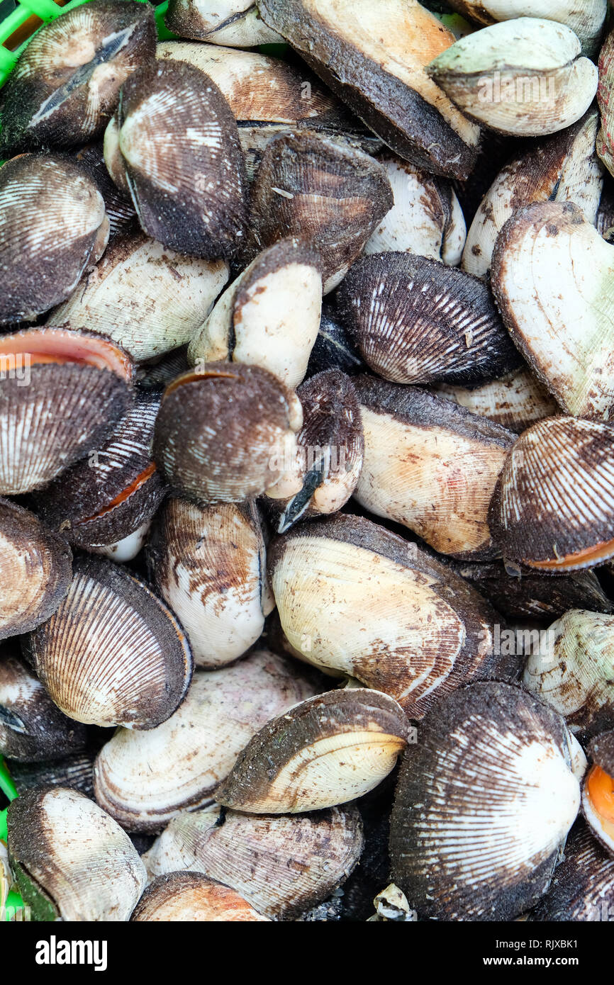 Shellfish,Fresh seafood in fish market Stock Photo - Alamy