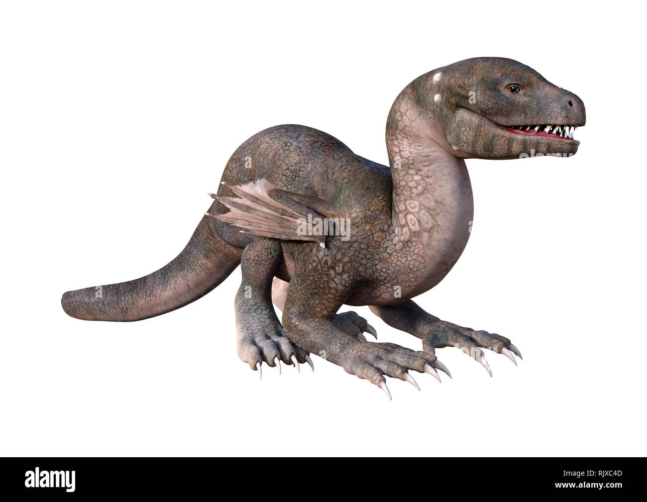 3D rendering of a fantasy dragon hatchling isolated on white background ...