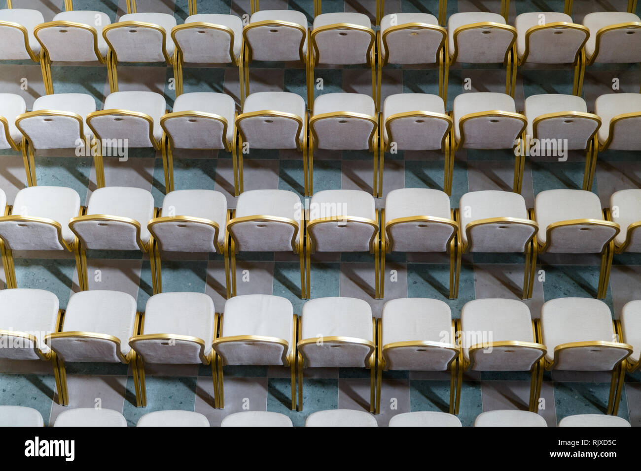 Rows of traditional hard wood chairs with soft cushion and golden ...
