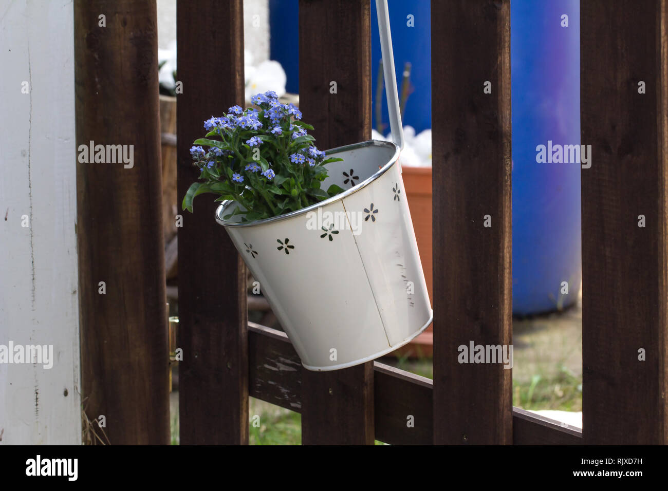 Balcony Plants / flowers in decorative pails Stock Photo - Alamy