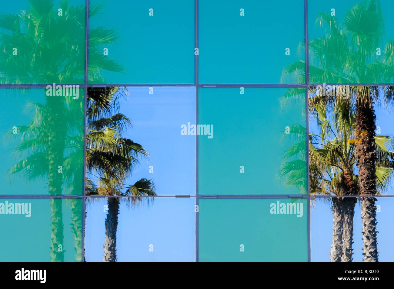 Success concept palm architecture hi-res stock photography and images ...