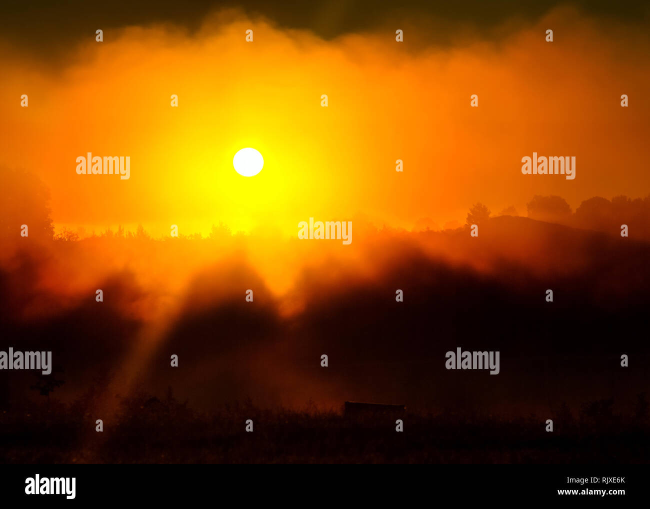 Sun shinning through the fog at sunrise, light rays, morning landscape ...