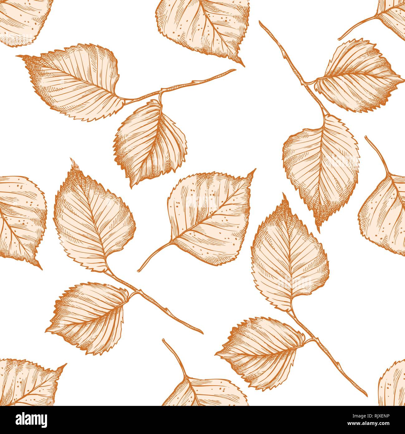 Birch tree pattern Stock Vector Images - Alamy