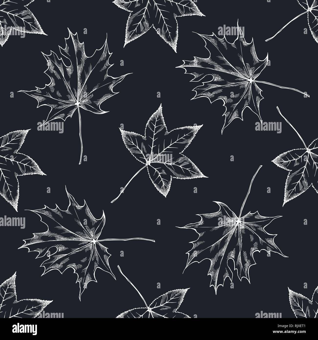 Chalk Maple High Resolution Stock Photography and Images - Alamy