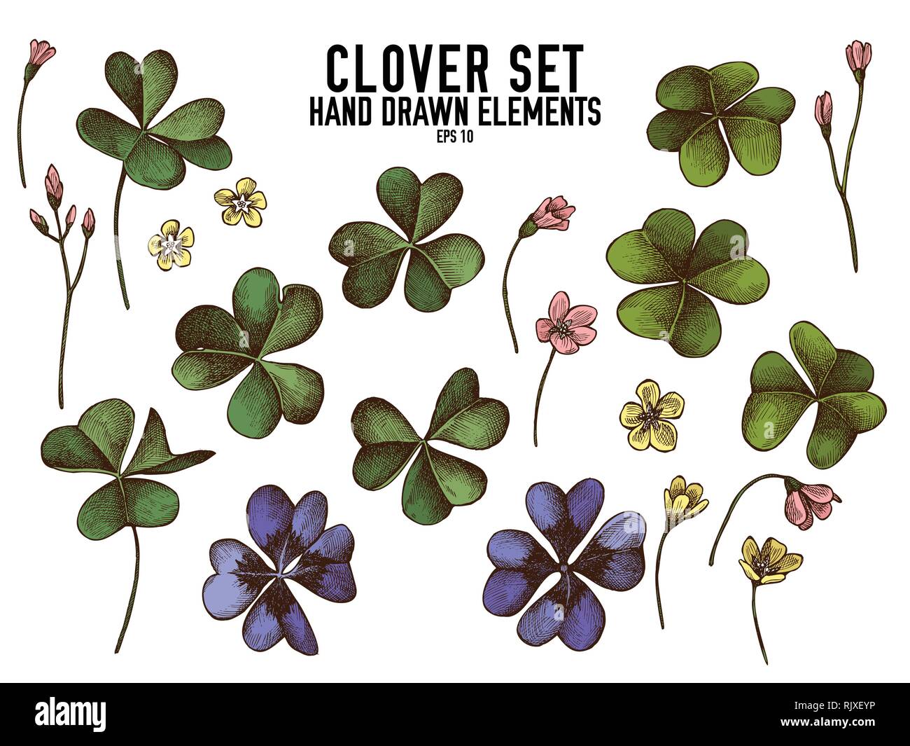 Vector collection of hand drawn colored clover Stock Vector Image & Art ...