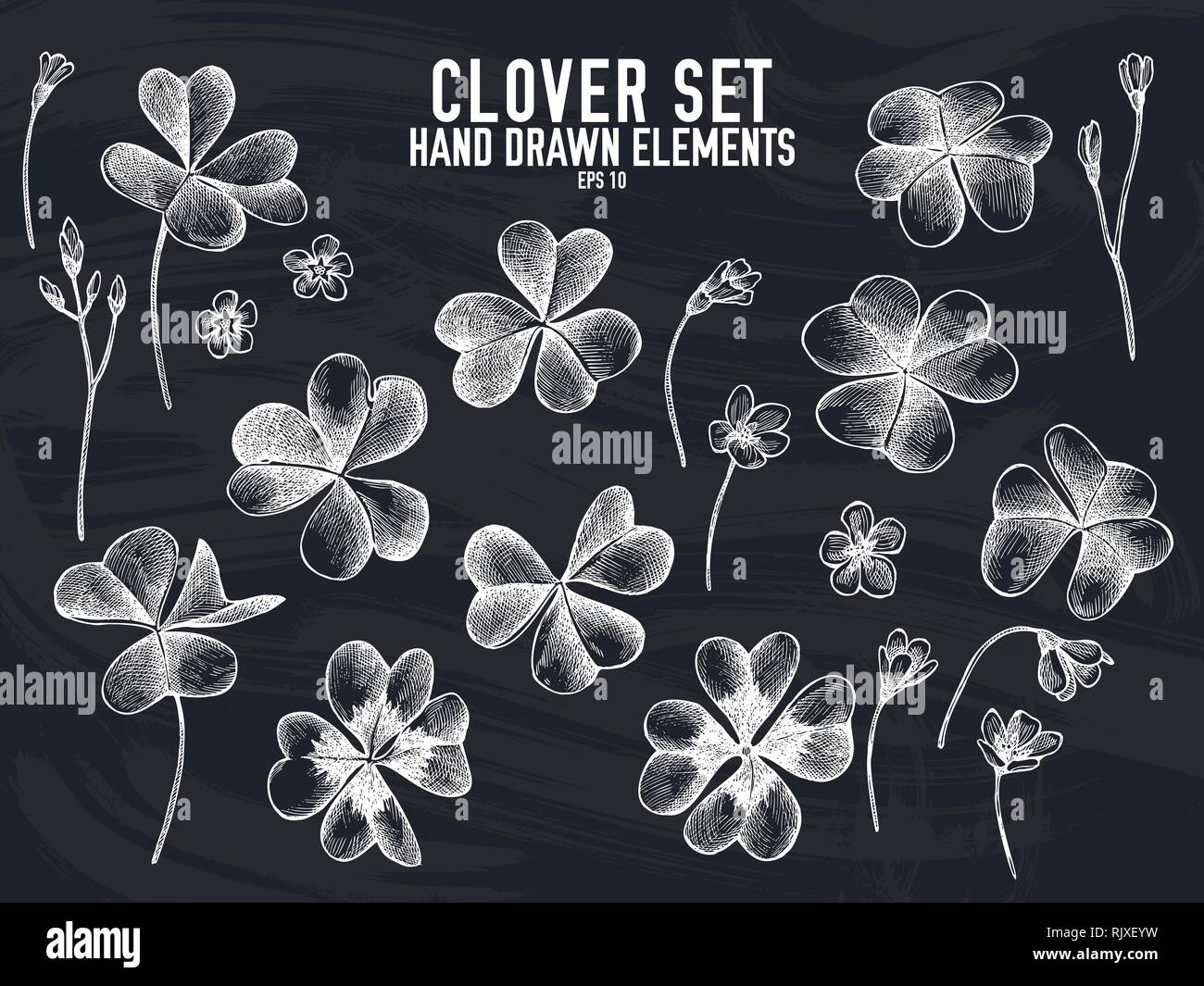 Vector collection of hand drawn chalk clover Stock Vector Image & Art ...