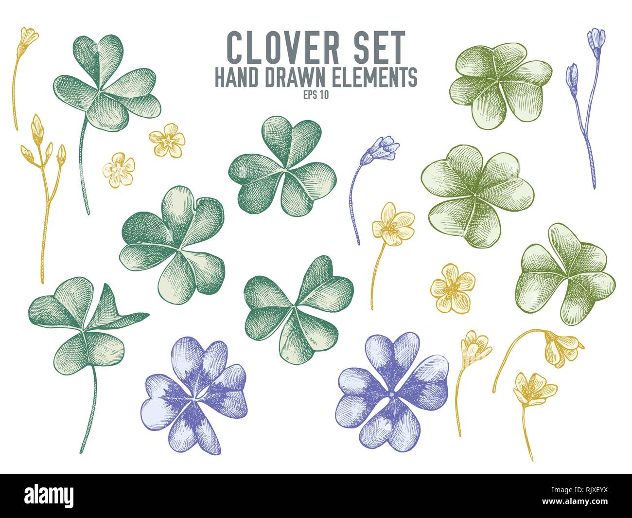 Vector collection of hand drawn pastel clover Stock Vector Image & Art ...