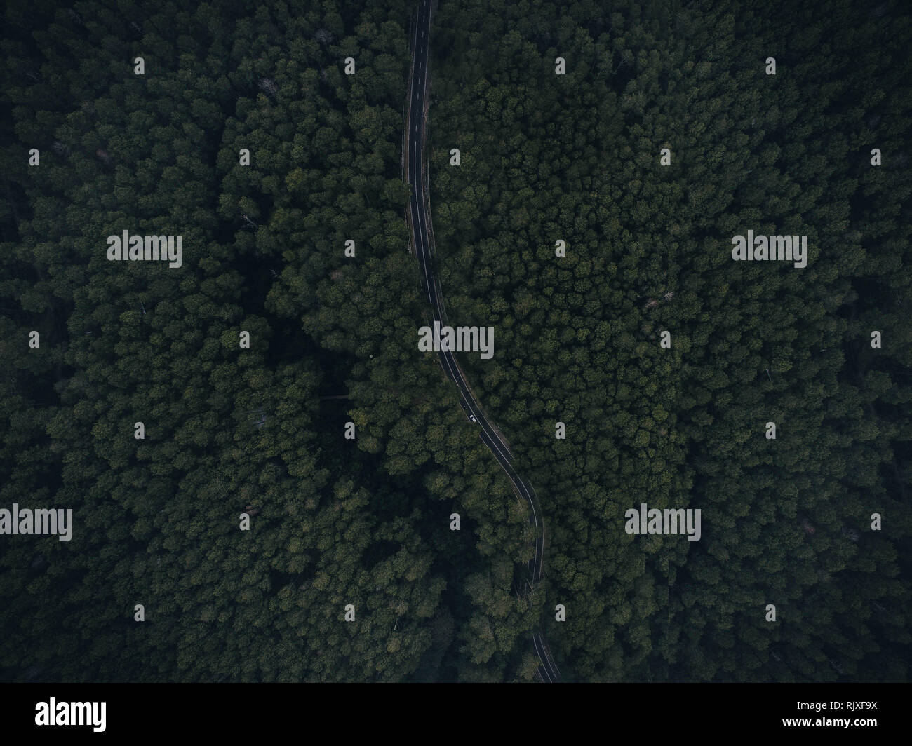 Tress way hi-res stock photography and images - Alamy