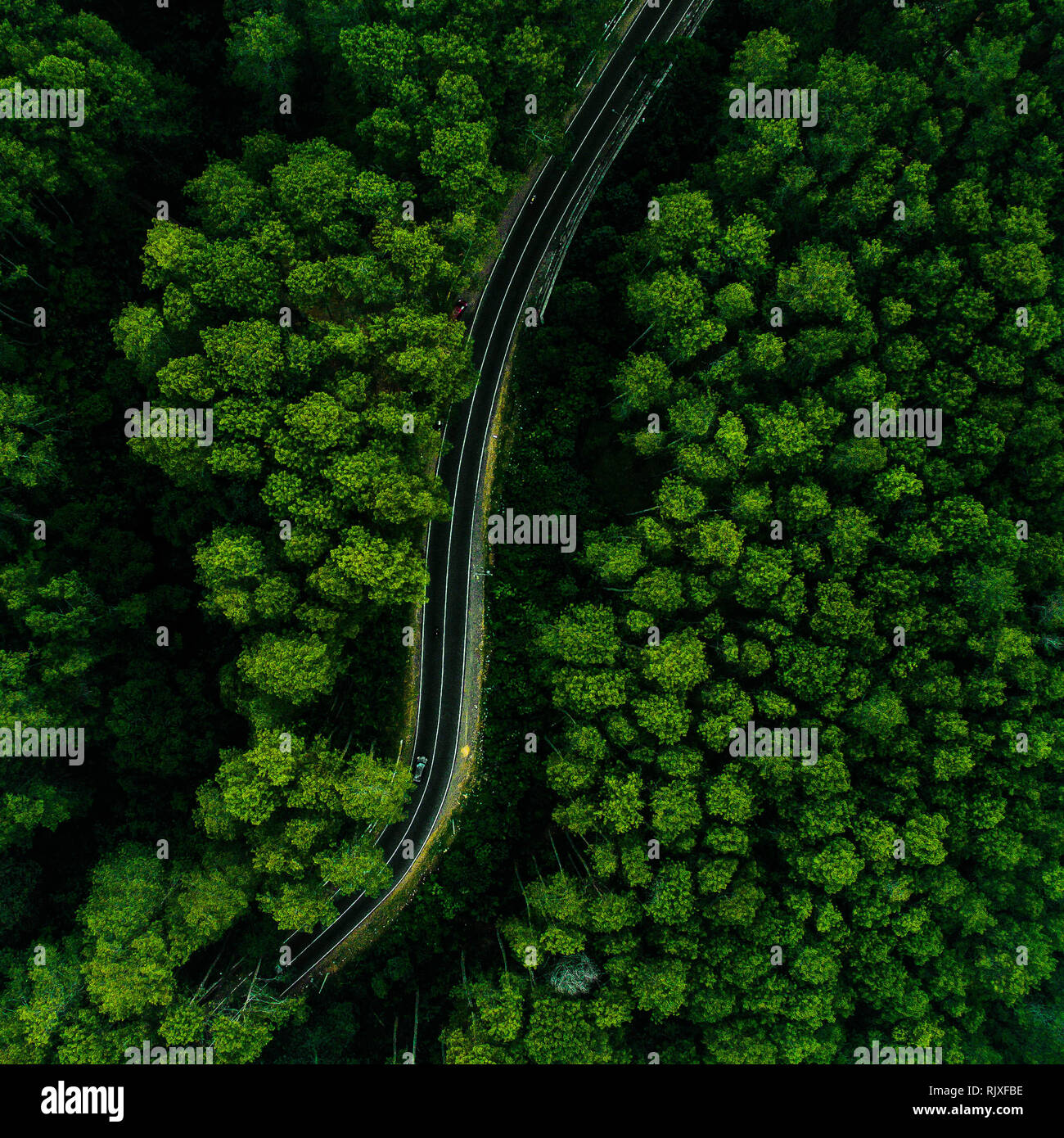 Tress way hi-res stock photography and images - Alamy