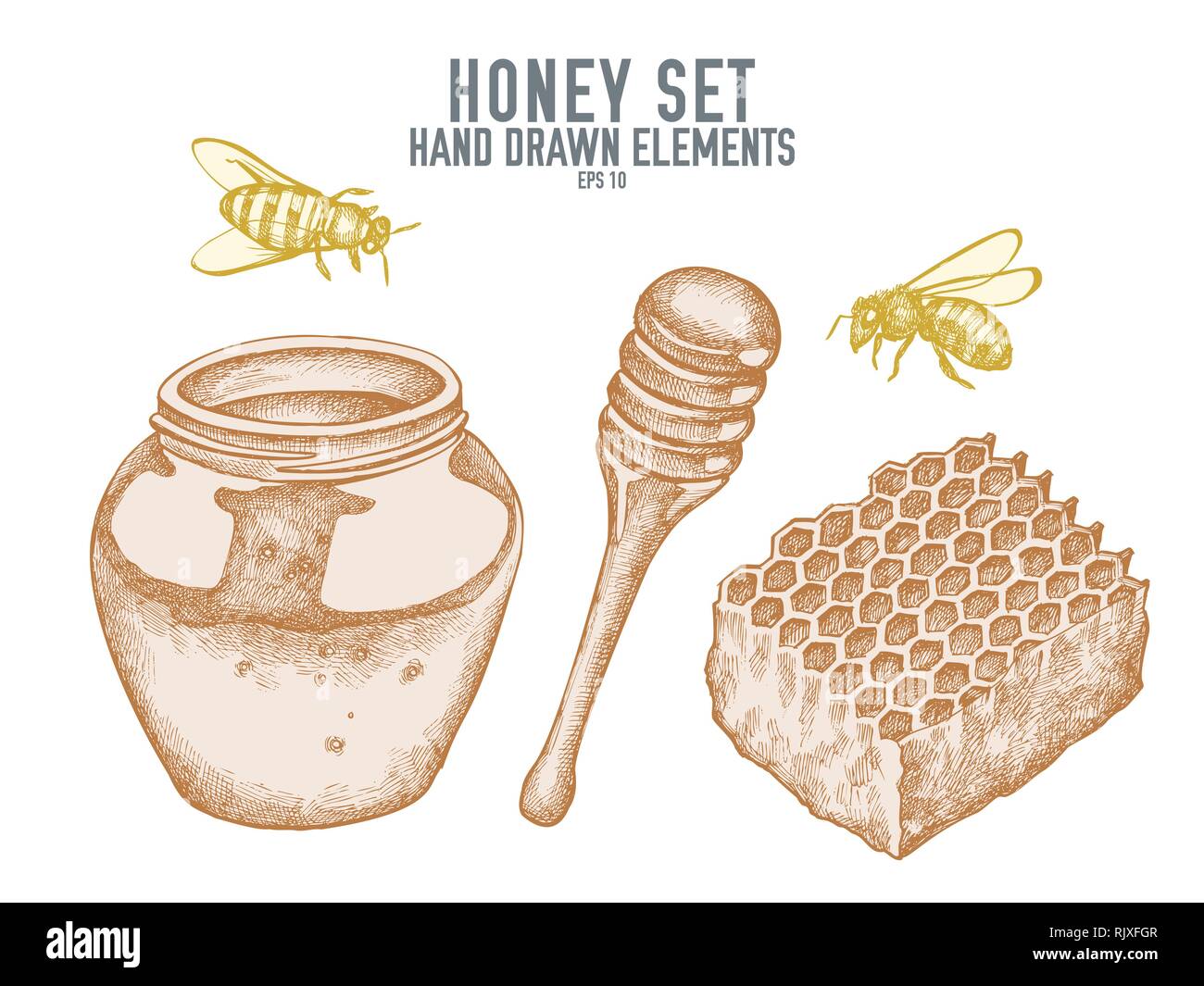 Vector collection of hand drawn pastel honey Stock Vector Image & Art ...