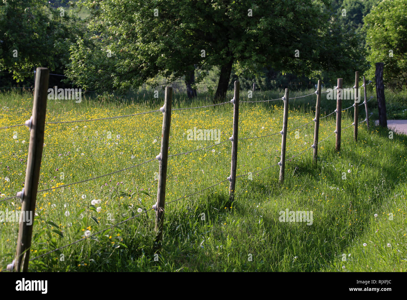 Electric fence gate protects a green grass pasture Stock Photo - Alamy