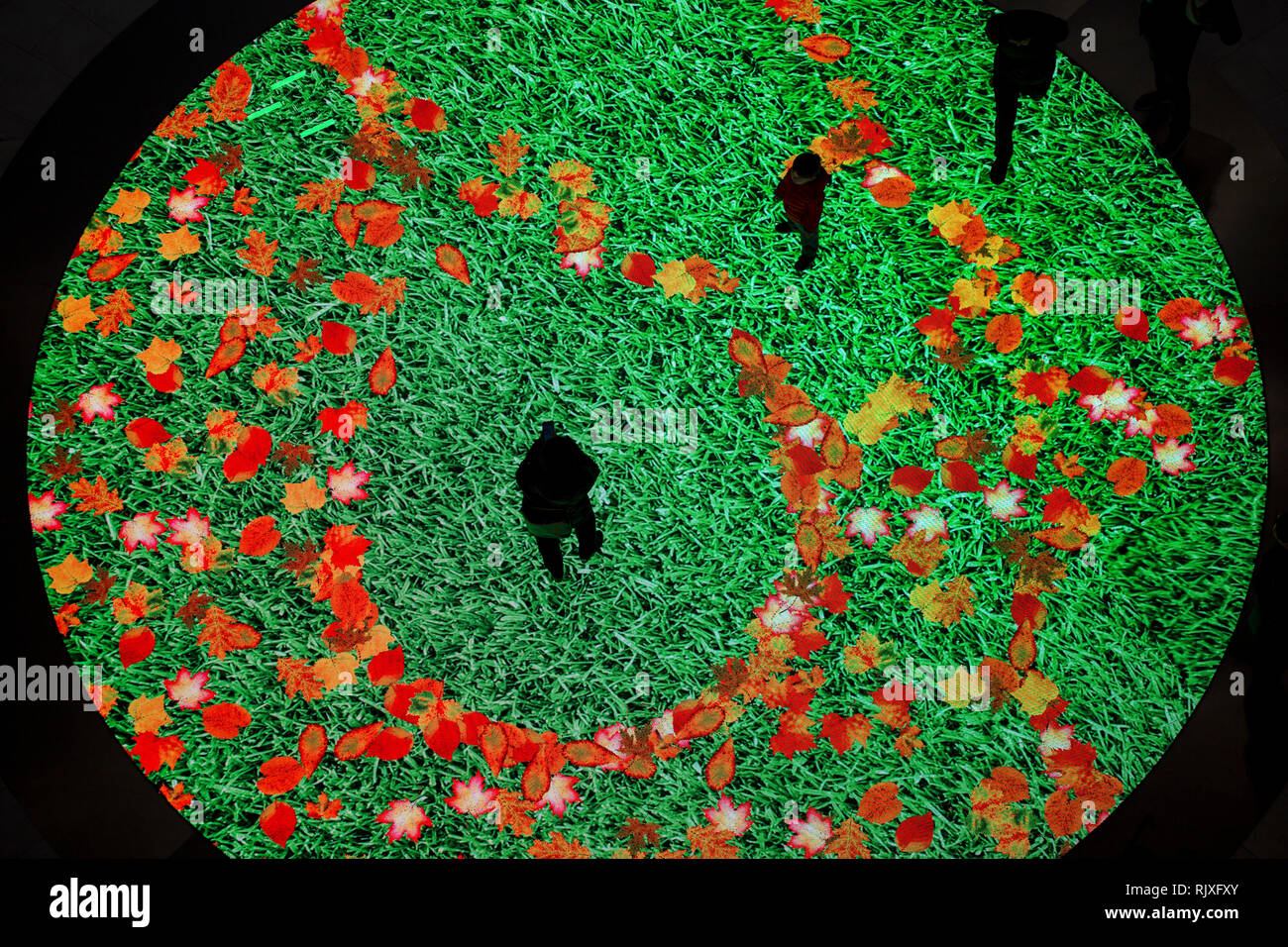 Large screen augmented reality experience on the floor. Digital Light ...