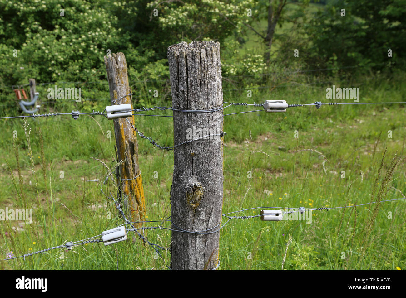 Electric fence / Electric fence in the field Stock Photo - Alamy
