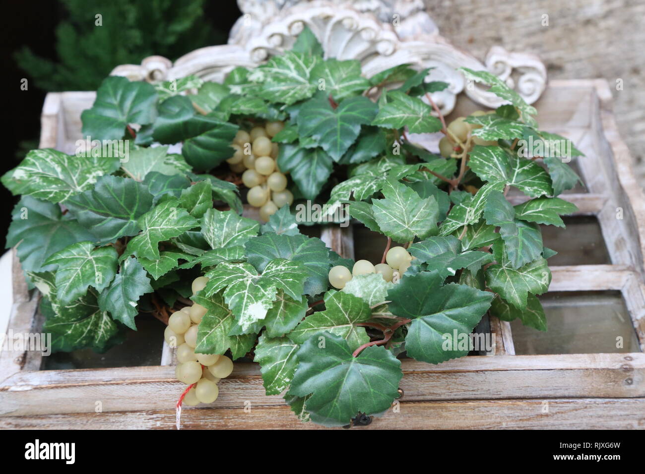 Watercolor realistic grapes hi-res stock photography and images - Alamy