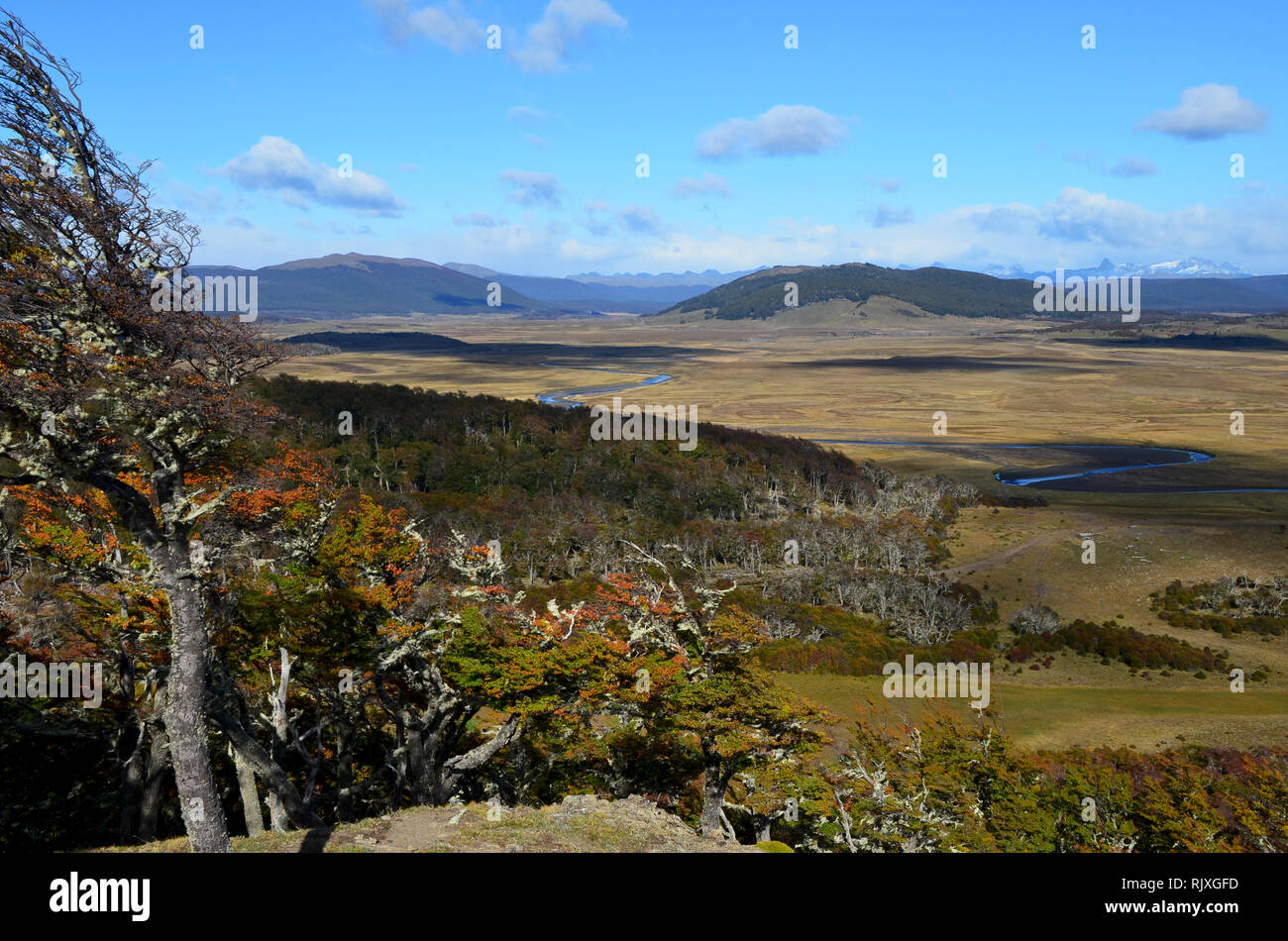 The pampa in Karukinka, a natural reserve at the heart of Tierra del ...