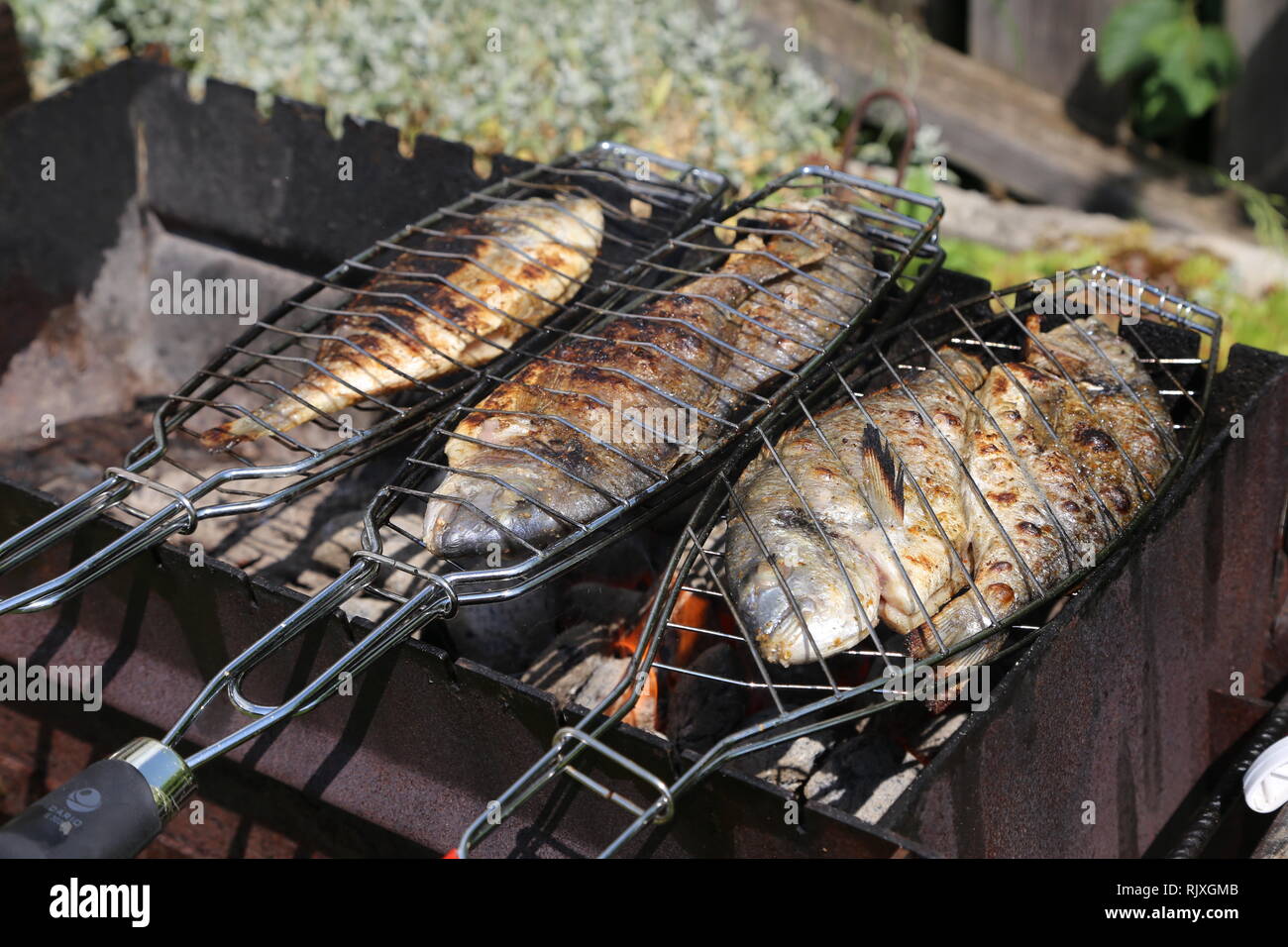 Fish grill / There are fish on the grill and grilled. An raw freshwater ...