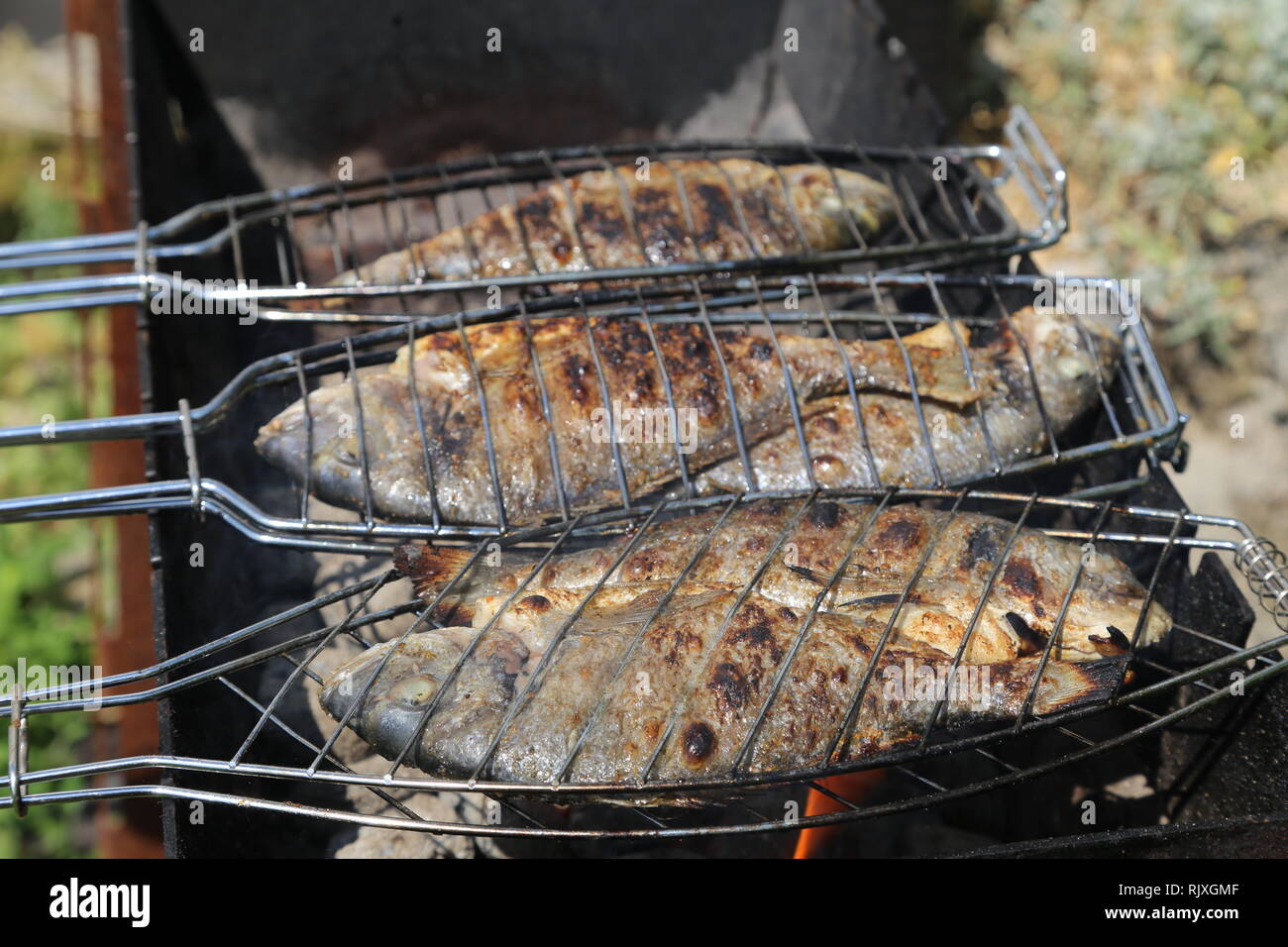 Fish grill / There are fish on the grill and grilled. An raw freshwater ...