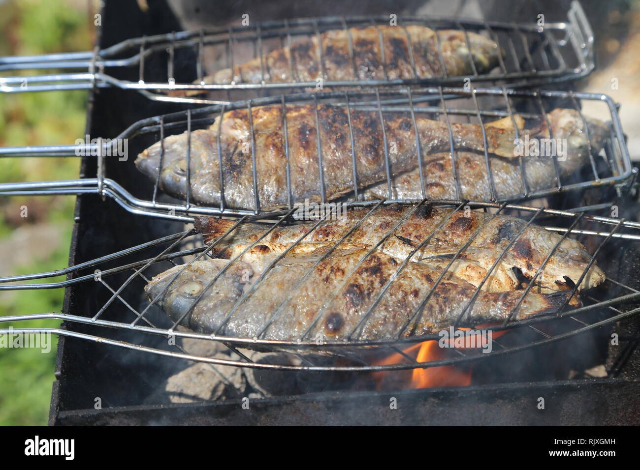 Fish grill / There are fish on the grill and grilled. An raw freshwater ...