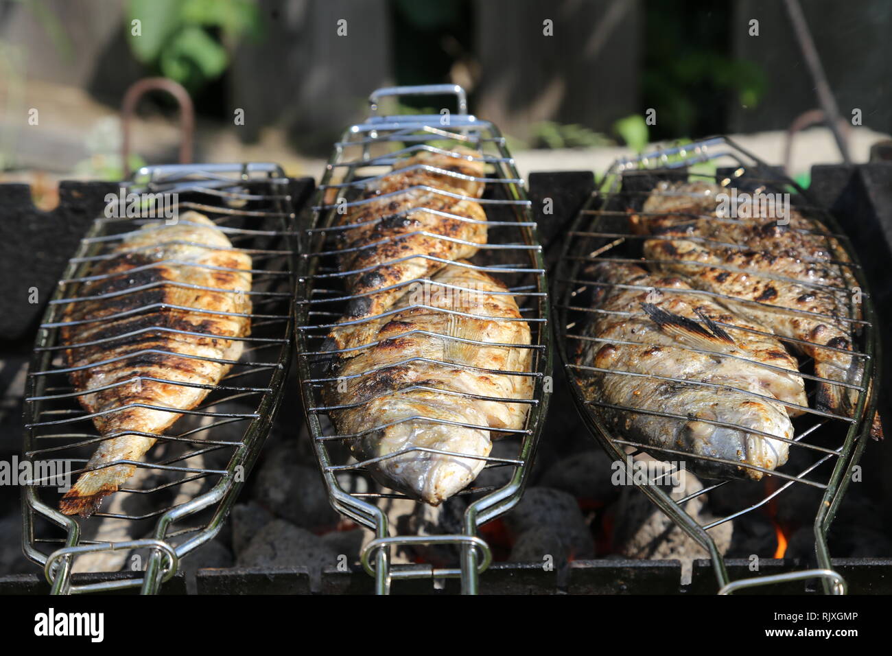 Fish grill / There are fish on the grill and grilled. An raw freshwater ...