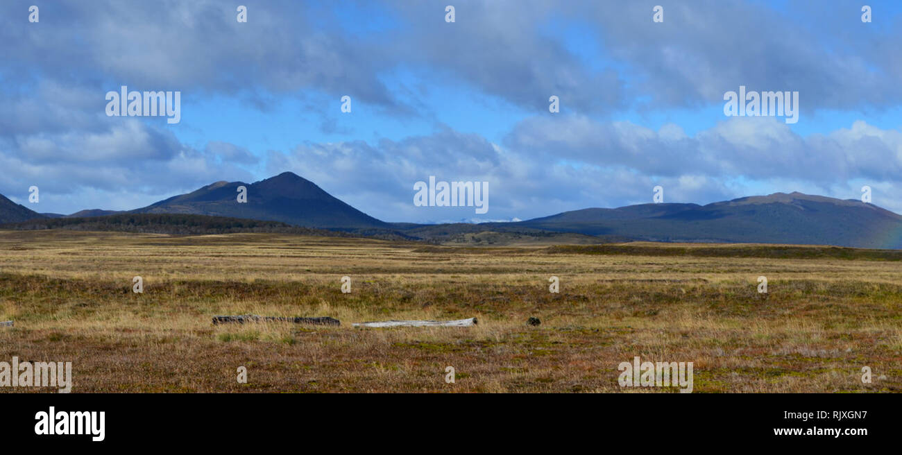 The pampa in Karukinka, a natural reserve at the heart of Tierra del ...