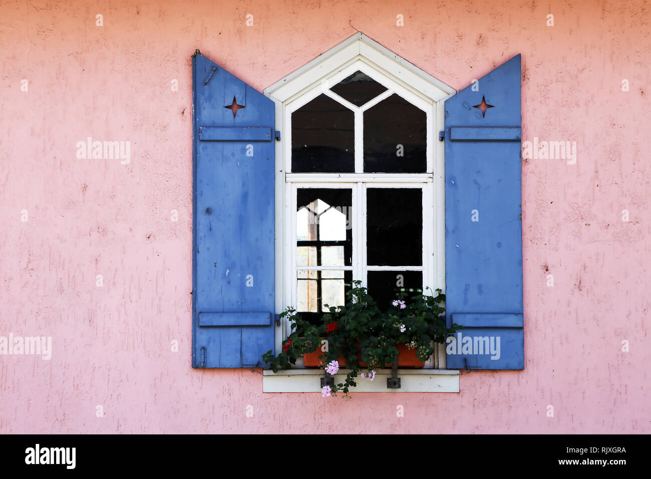 Window with flowers / Window with beautiful flowers on the windowsill ...