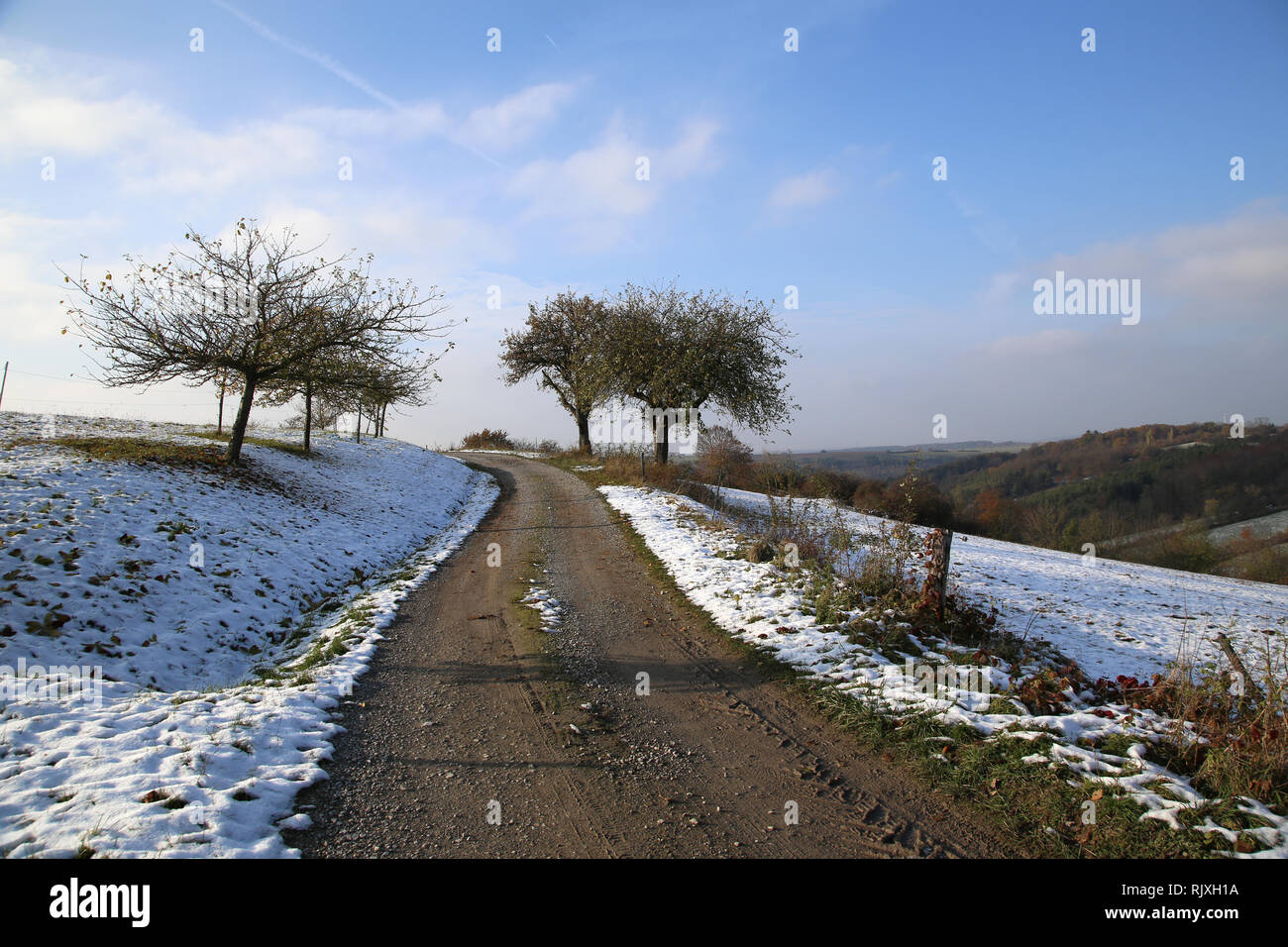 Winter landscape / Winter landscape with a tree Stock Photo - Alamy