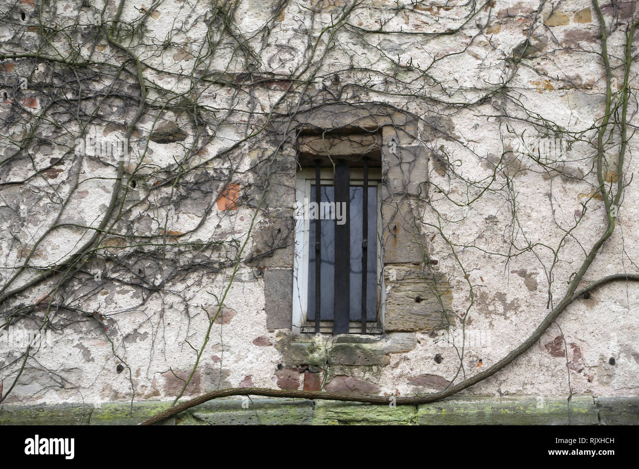 Windows in an old castle Stock Photo - Alamy
