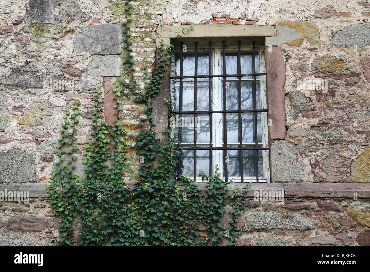 Windows in an old castle Stock Photo - Alamy