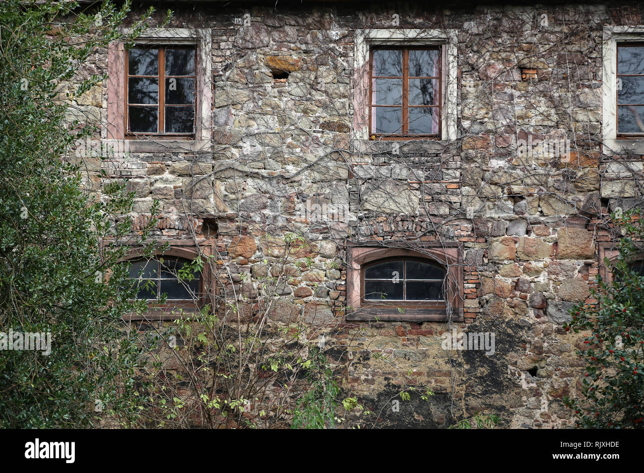 Windows in an old castle Stock Photo - Alamy