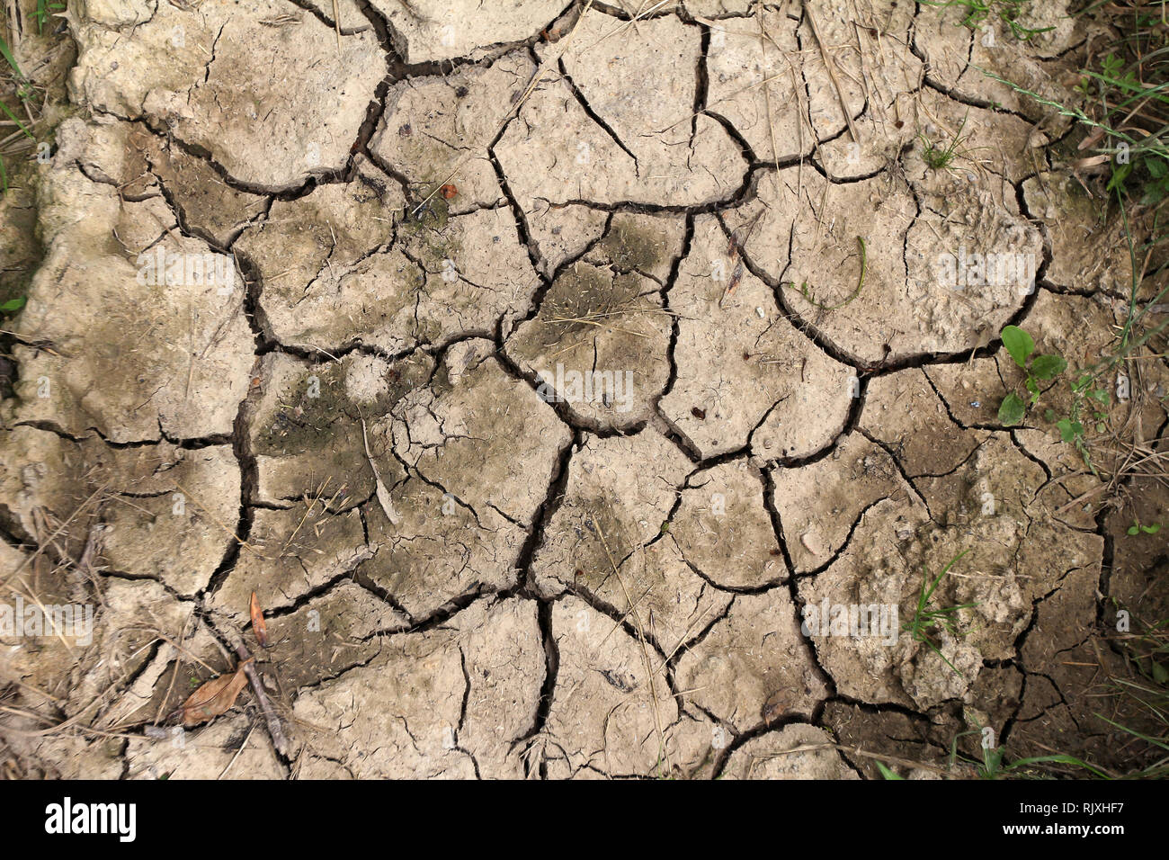 Dry earth / / Soil, who had not seen rain for a long time Stock Photo ...