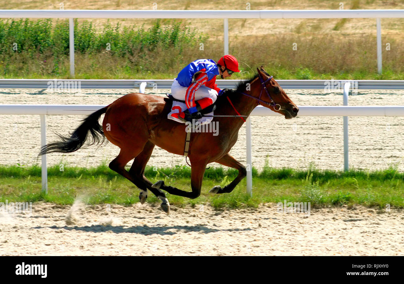 A racehorse and jockey cross the finish line first in a horse race ...