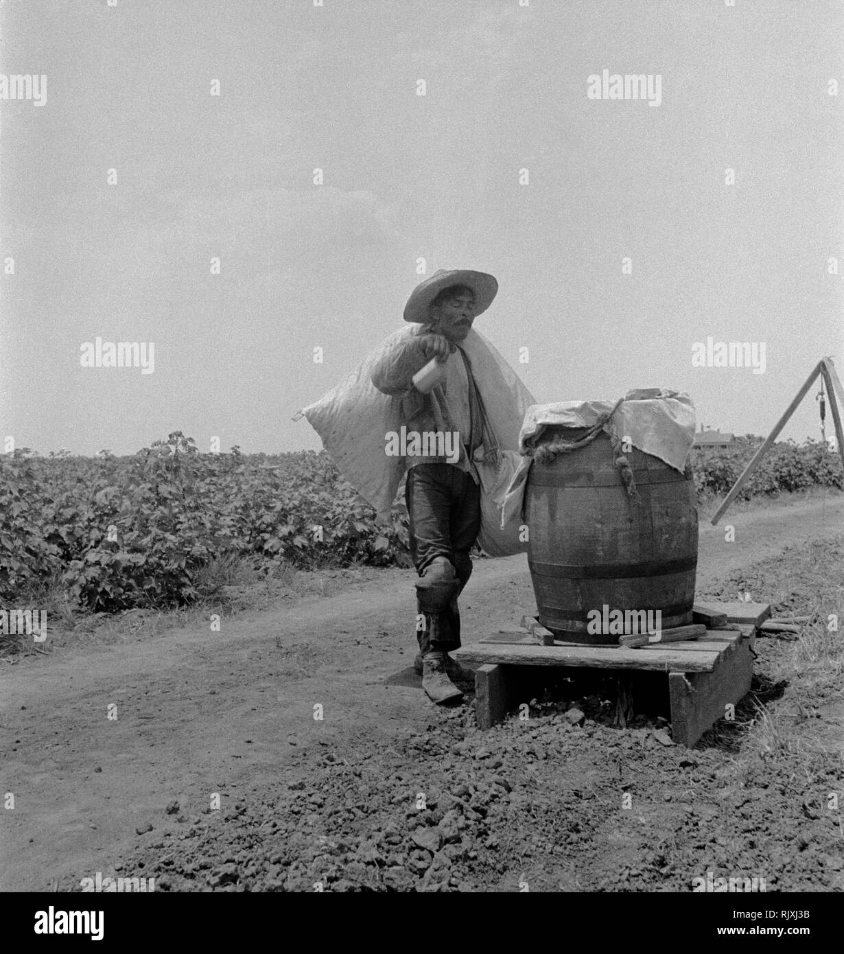 Pick picking pickers picker Black and White Stock Photos & Images - Alamy