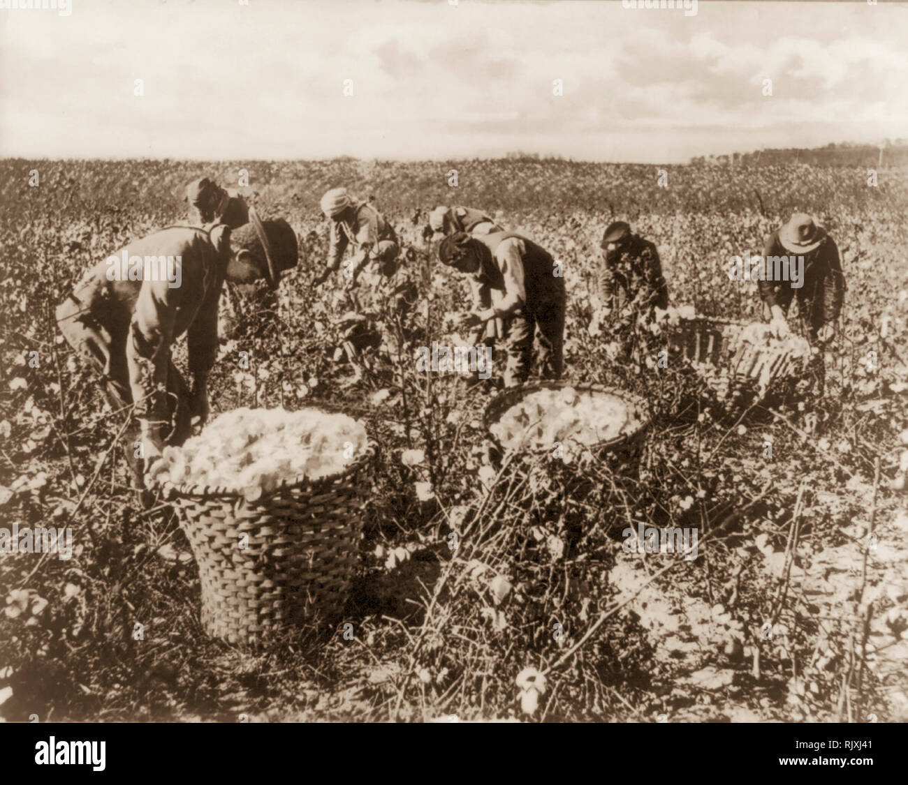 Back Breaking Labor High Resolution Stock Photography and Images - Alamy