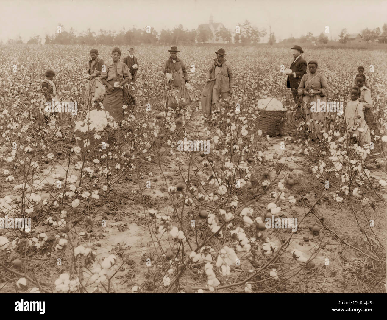 Back Breaking Labor High Resolution Stock Photography and Images - Alamy