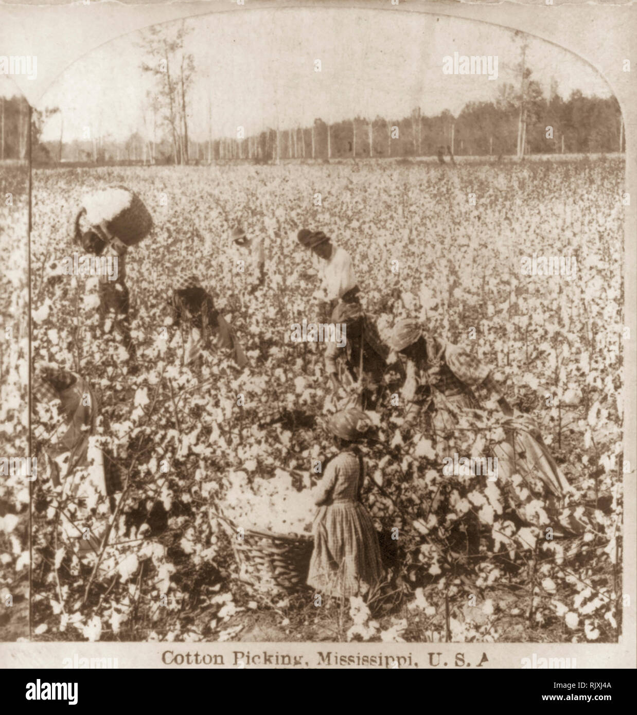 Back Breaking Labor High Resolution Stock Photography and Images - Alamy