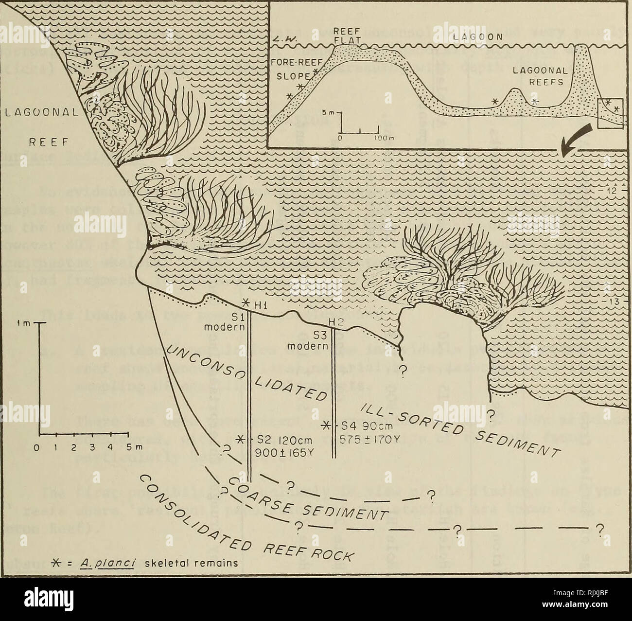. Atoll research bulletin. Coral reefs and islands; Marine biology ...