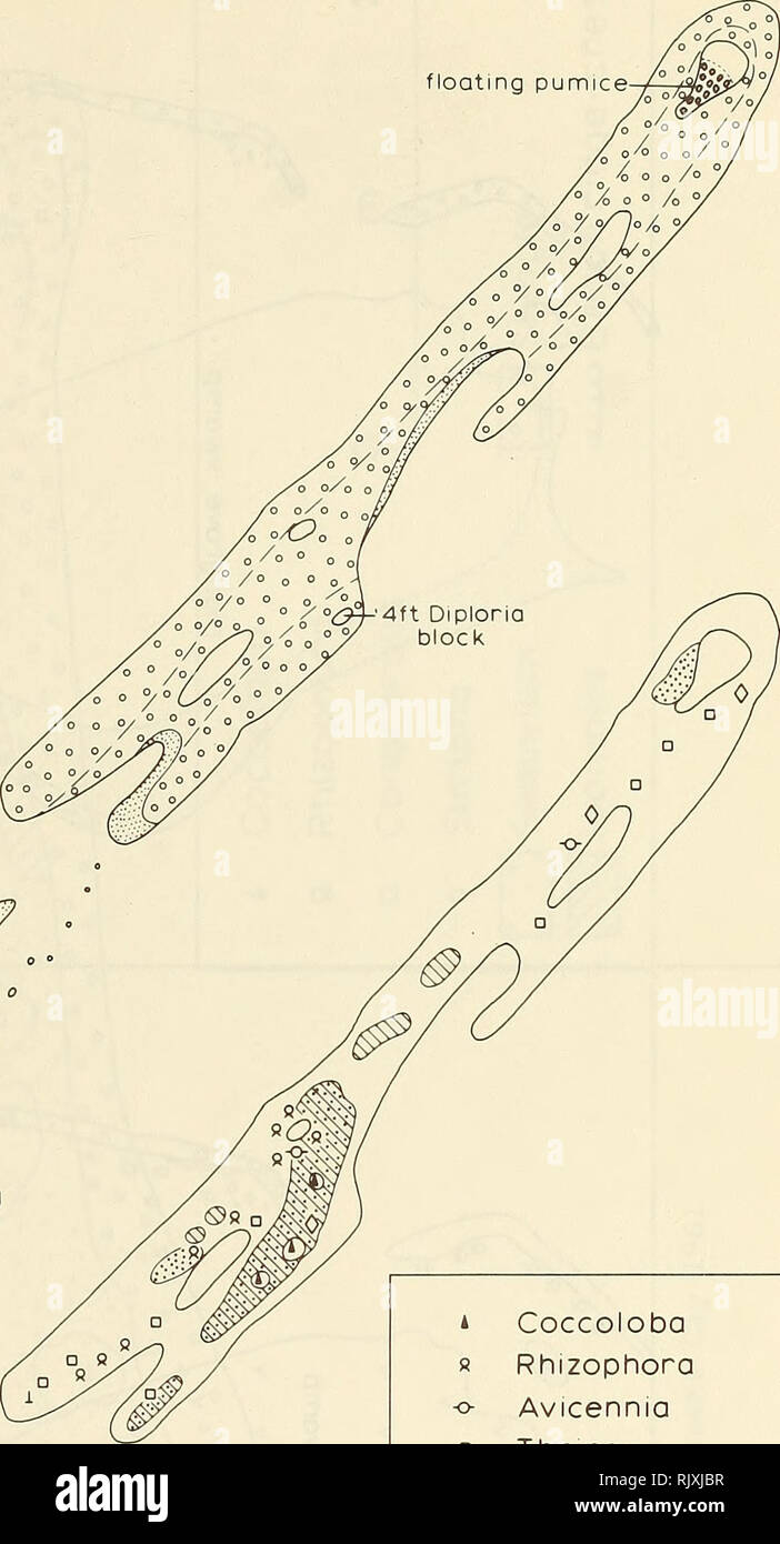 Pumice floating hi-res stock photography and images - Alamy