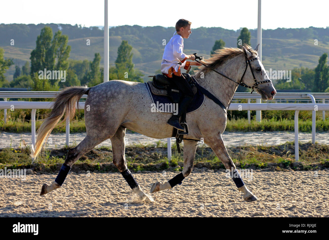 Bold boy riding on a grey horse Stock Photo - Alamy