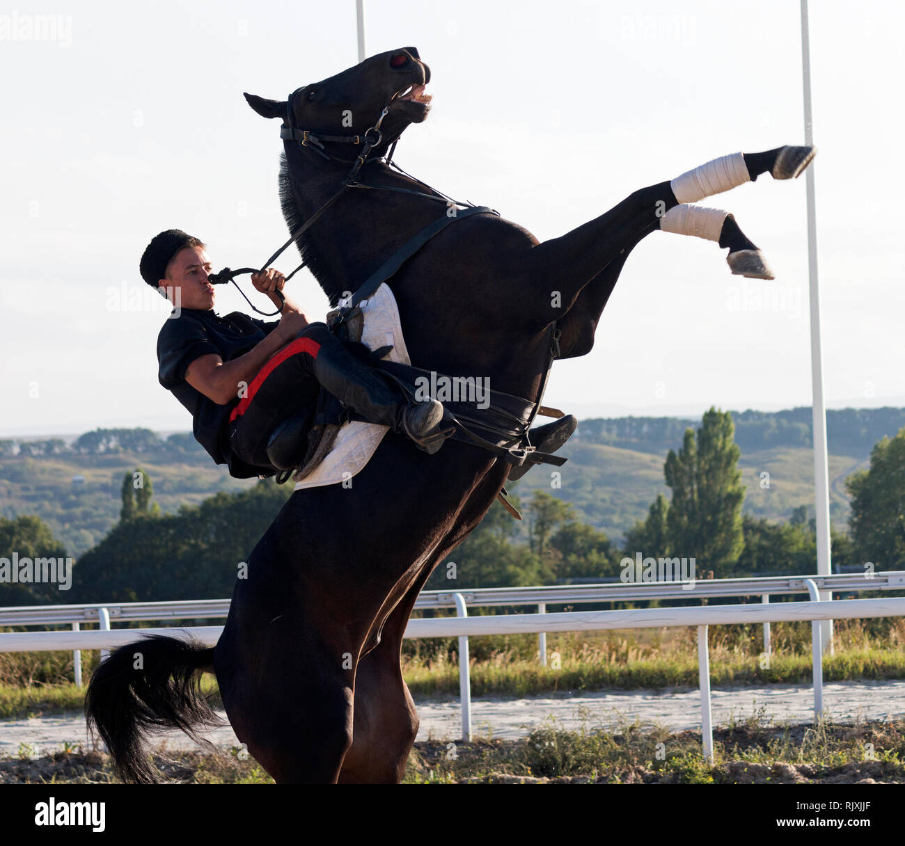 Rearing horse with jockey hi-res stock photography and images - Alamy