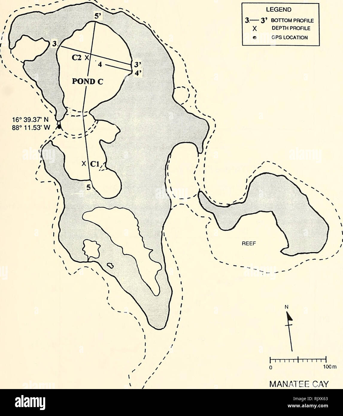 . Atoll research bulletin. Coral reefs and islands; Marine biology ...