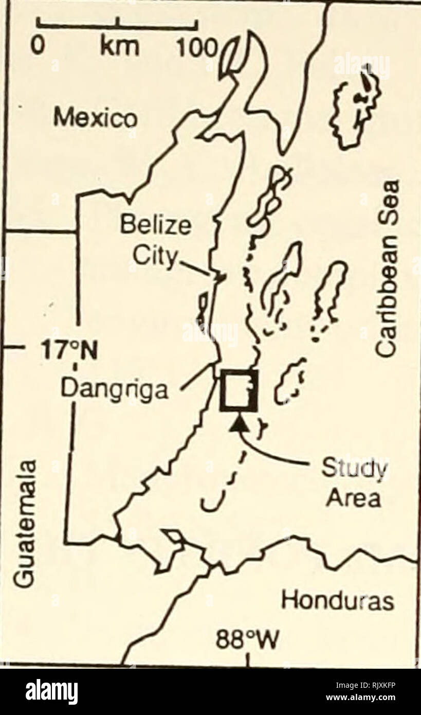 Pelican island map hi-res stock photography and images - Alamy