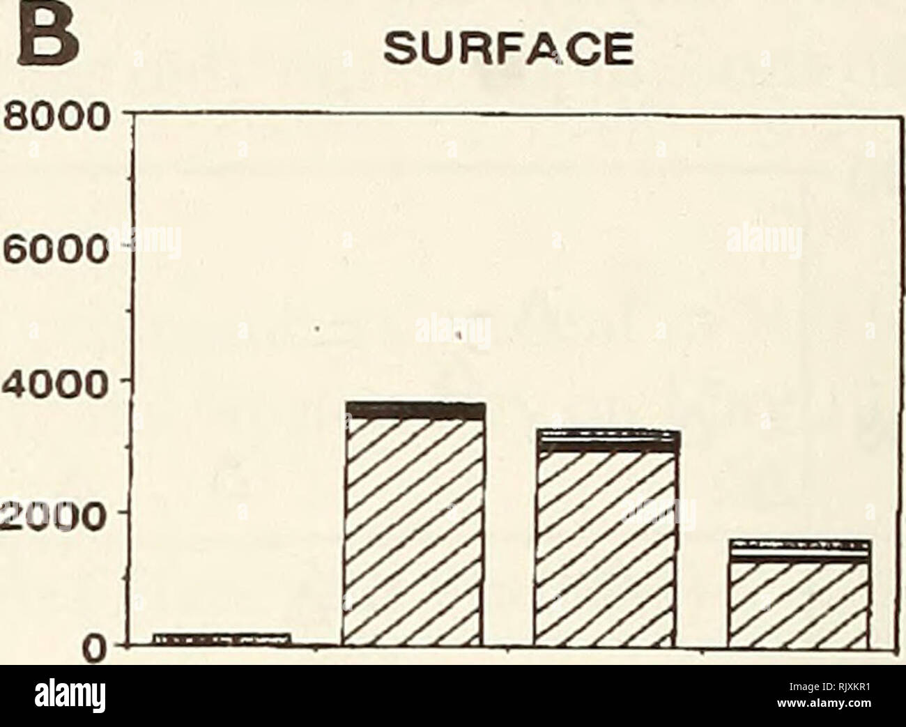 10000 cc hi-res stock photography and images - Alamy