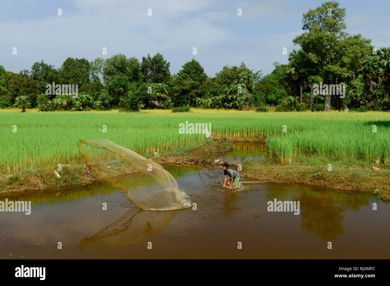 Asia, Southeast Asia, asien, Cambodia, cambodian, Siem Reap, kid ...