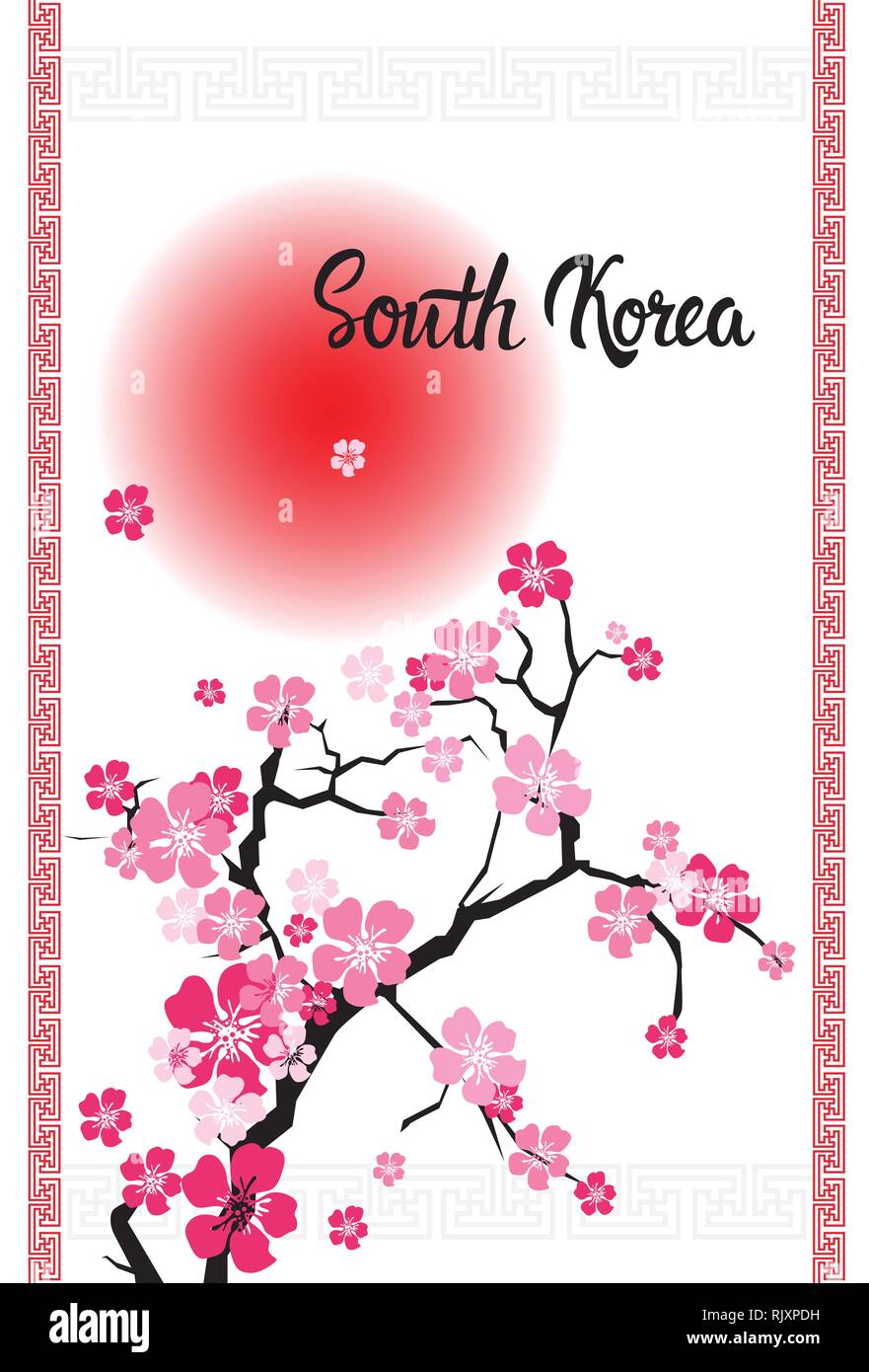 South Korea Lettering With Beautiful Blossom Of Sakura Branch On White ...
