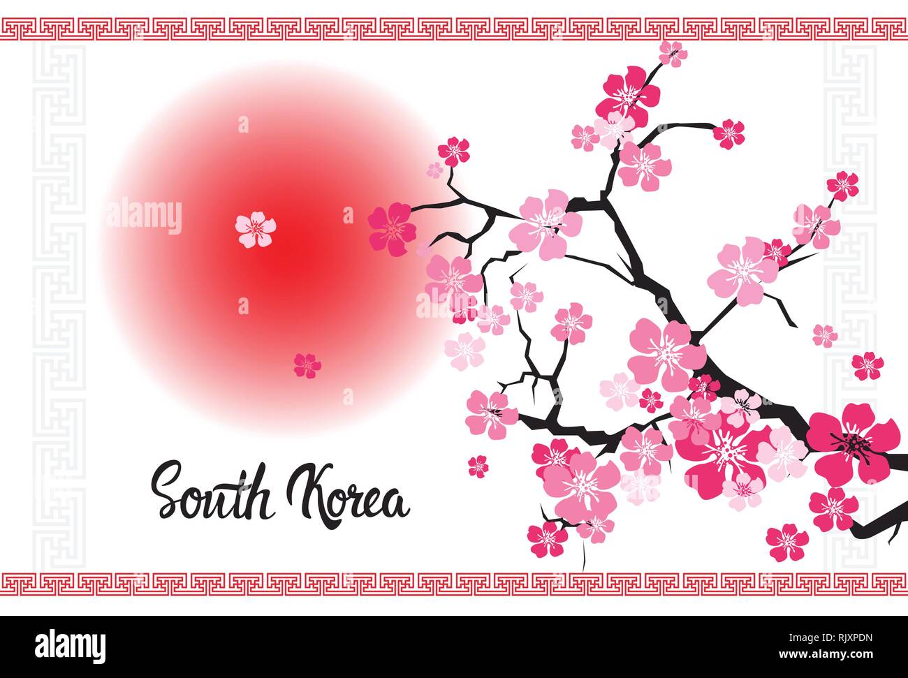 South Korea Lettering With Beautiful Blossom Of Sakura Branch On White ...